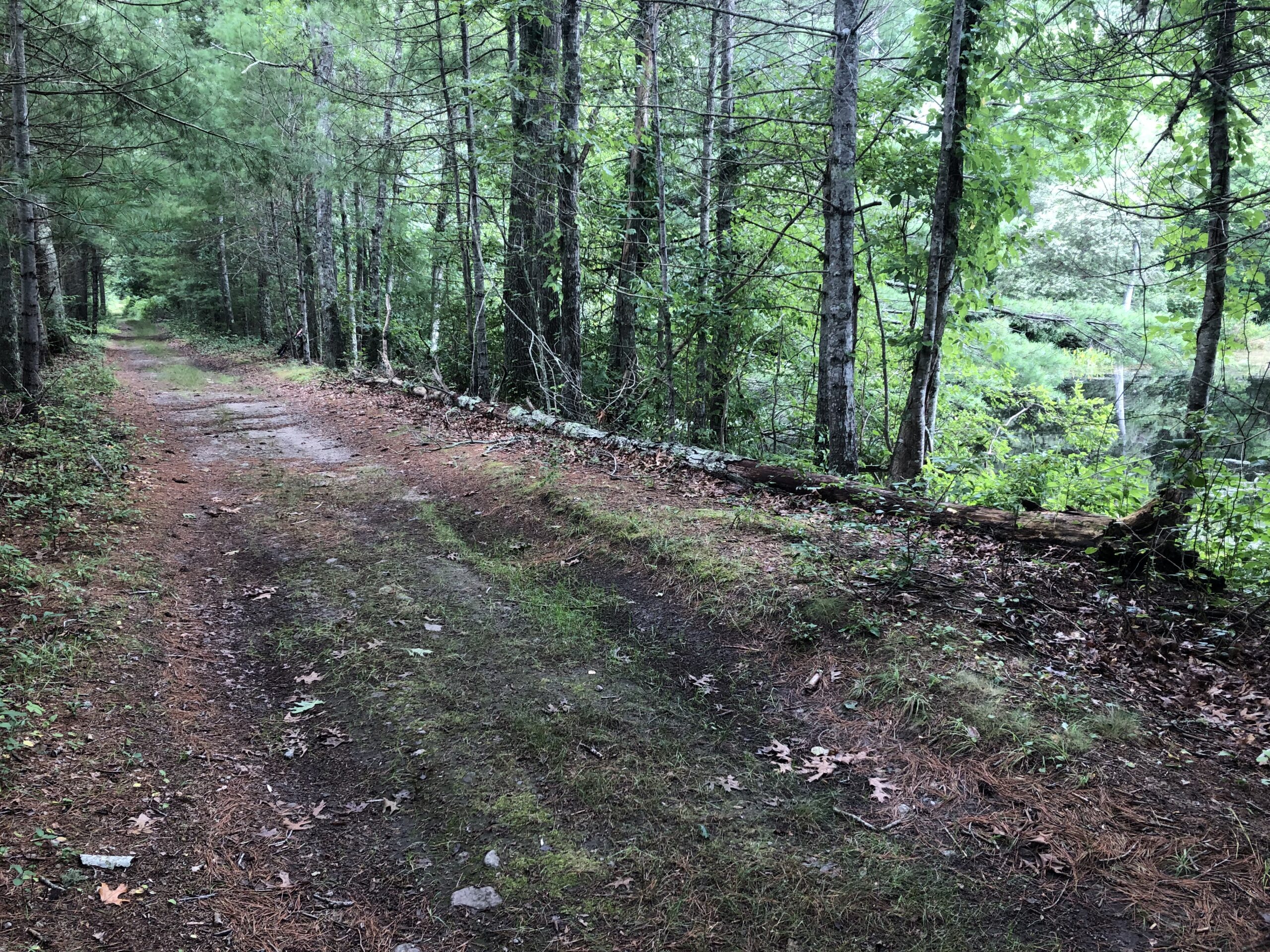 Marion Pathways Committee Shares Update - South Coast Bikeway